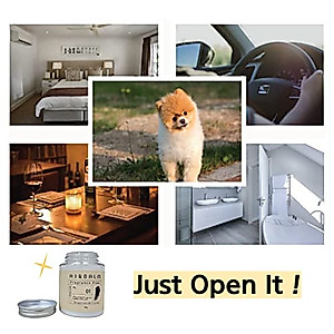 Air Balm Odor Eliminator, Solid Air Fresher, 1 Pack, 5.3 oz. Lasts 90 Days for Room, Kitchen, Bathroom and Wardrobe, BABY POWDERScent (Fragrance Free)