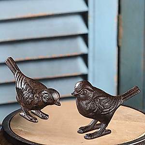 BRASSTAR Rustic Cast Iron Bird Statue Farmhouse Home Garden Decor Collectible Figurines Gift Replica Rust Color a Pair of Birds PTZD053