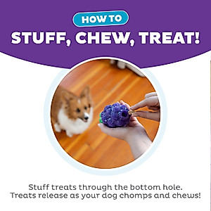 Outward Hound by Planet Dog Dental Grapes Dental Chew Toy and Interactive Treat Stuffer Durable Dog Toy Stuffable Dog Toy, Medium, Purple