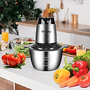 Food Processors Electric, Meat Grinder 2L Stainless Steel Meat Blender Food Chopper for Meat, Onion, Vegetables with 2pcs Bi-Level Blades, 2 Speed, 500W, 8 Cup (Meat Grinder with Single bowl)