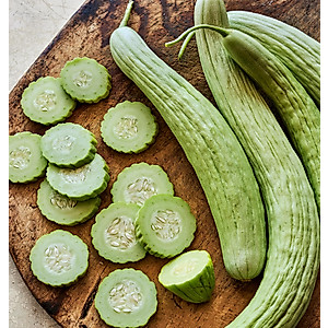 Burpee 'Suyo Long' Cucumber Seeds, 30 Non-GMO seeds, Heirloom