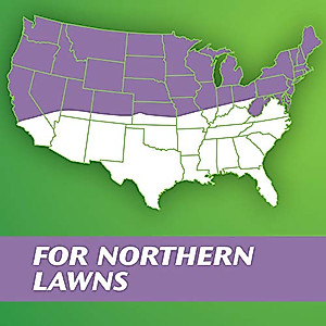 Scotts Turf Builder Grass Seed Perennial Ryegrass Mix Repairs Bare Spots, Ideal for High Traffic and Erosion Control, 7 lbs.