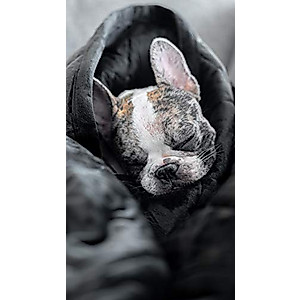 The Amazing Blanket — Adult Weighted Blanket (25 lbs) — 48" W x 72" L