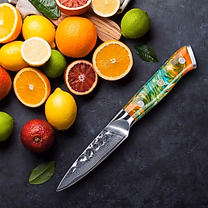 SANMUZUO 3.5 Inch Paring Knife - Fruit and Vegetable Peeling Knives, Forged Damascus Steel & Resin Handle - Yao Series