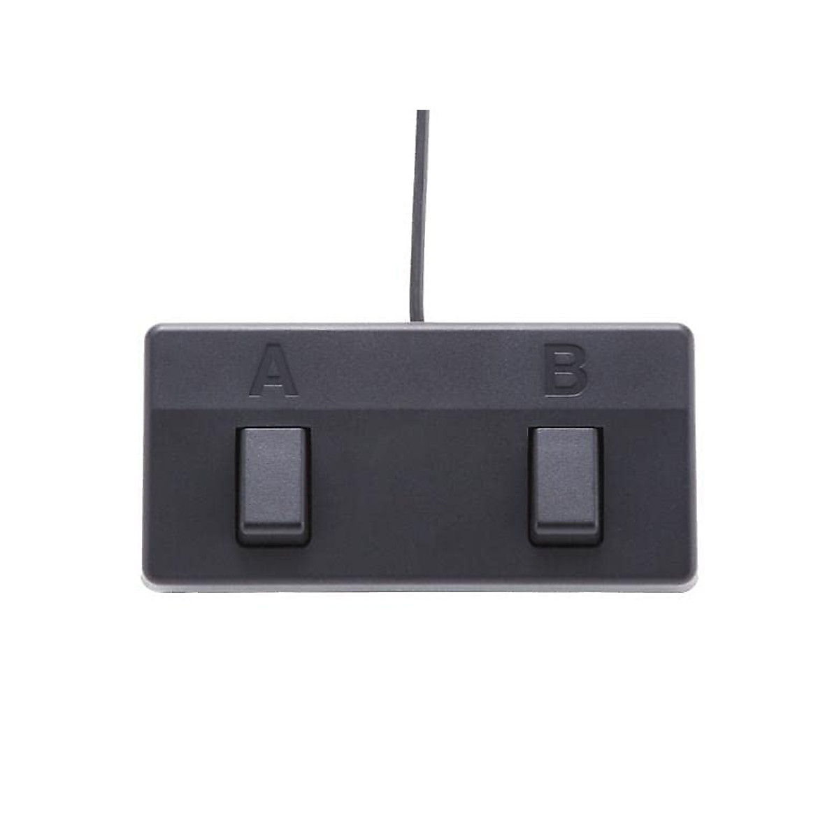 Boss Acoustic Singer Live 60-Watt Bi-Amp Acoustic Combo with FX