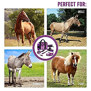 7-Piece Horse Grooming Kit with Organizer Tote Bag, Tack Room Supplies Set with Assorted Hair and Curry Brushes, Hoof Pick, and Sweat Scraper, Great Groomer Gift, Horse Riders, Beginner, Advanced, Purple OR Blue Avail