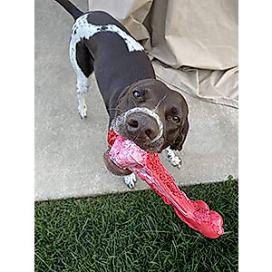 GNAWLY DOG Chew Toys for Aggressive Chewers, 5 Pack, Flavor Infused Heavy Duty Rubber Bones, Ring, Antlers, Ropes and Animal, Indoor and Outdoor Play for Medium to Large Breeds