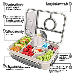 Demiue Lunch Box for Adults/Kids/Toddler,5 Compartments Bento Lunch Containers with Sauce Vontainers,Microwave & Dishwasher & Freezer Safe,BPA Free(White)