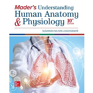 Loose Leaf Version for Mader's Understanding Human Anatomy & Physiology (Mader's Understanding Human Anatomy and Physiology)