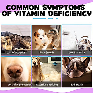 15 in 1 Dog Multivitamin, All-in-One Multi Liquid Multivitamin for Dogs, Dog Vitamins and Supplement with Digestive, Immunity, Allergy Skin & Coat Support, Hip & Joint, All Ages, Breeds 2 oz