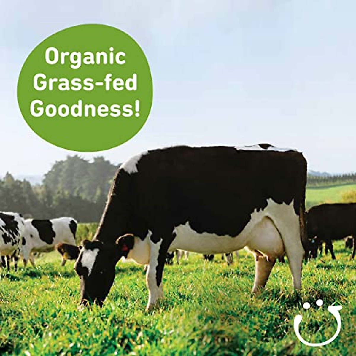 Aussie Bubs Grass Fed Nutritional Milk-Based Toddler Formula, For Kids 12-36 months, Made with Non-GMO Organic Milk, 28.2 oz