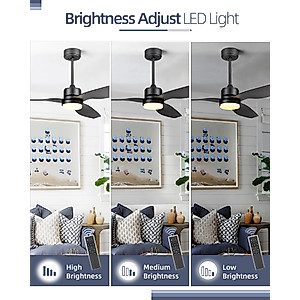 YOUKAIN 52 Inch Indoor/Outdoor Modern Ceiling Fan with Lights and Remote Control, Reversible Blades, for Living room, Bedroom, Bathroom, Matte Black, 52-YJ359-BK