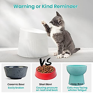 iPettie Elevated Cat Food Bowl Cat Dish, Tilted Pet Feeding Station with Stand for Small Dog, Made from Certified Food-Safe Plastics, Better Than Stainless Steel and Ceramic