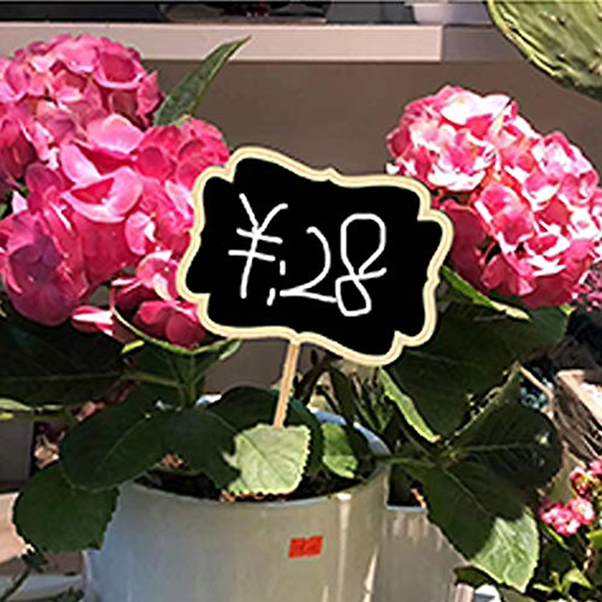 10pcs Plant Labels, Garden Markers Signs Garden Markers for Plants Outdoor Waterproof Reusable Garden Labels for Flower Bed, Pots, Planters Wooden Garden Markers for Plants Outdoor Waterproof