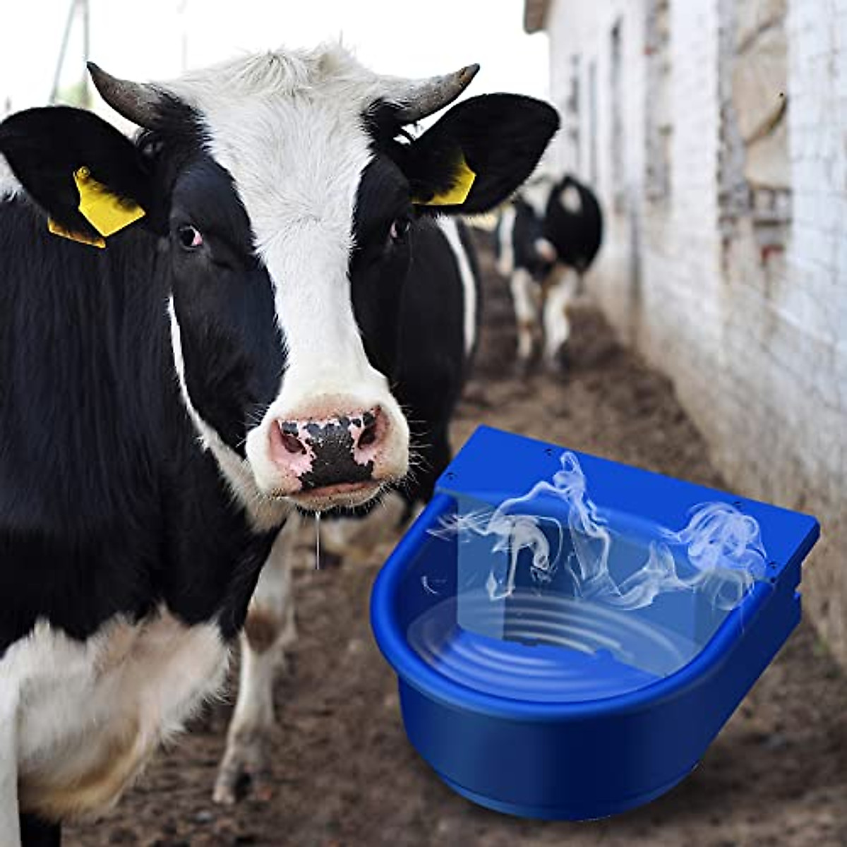 APlayfulBee Automatic Heated Dog Waterer Bowl Feeder Constant Temperature Dispenser 3L Outdoor Thermal Bowl with Float Ball Valves for Pet Dog Horse Cattle Goat Sheep (Blue)