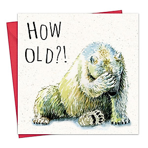 Twizler Funny Birthday Card Polar Bear – Funny Card Birthday – Happy Birthday Card – Funny Birthday Card Men – Funny Birthday Card Women – Funny Birthday Card For Him – Funny Birthday Card For Her