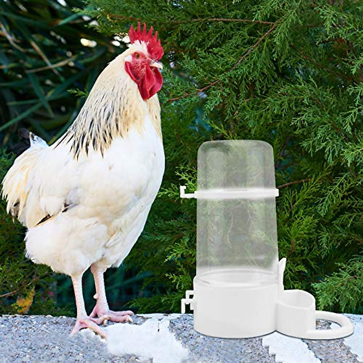 balacoo 2Pcs Automatic Bird Feeder Bird Water Bottle Poultry Drinker Water Jug Container Food Dispenser for Chickens Birds Pigeon Quail White