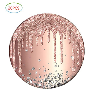 Pink Rose Gold Birthday Party Supplies, 20 Plates and 20 Napkins, Pink Rose Gold Theme Birthday Party Decoration for Girls Women