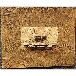 Mister Wonderful (Longhorn)