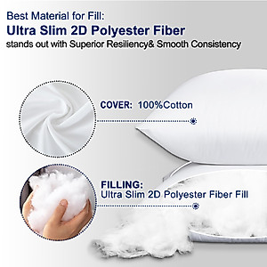 HITO 18x18 Pillow Inserts (Set of 2)- 100% Cotton Covering Down Alternative Throw Pillows White for Couch Bed Sofa