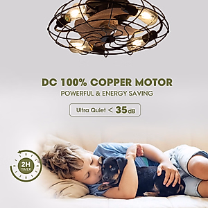 LUDOMIDE Caged Ceiling Fan Light with Remote, 21" Small Flush Ceiling Light with 3 Enclosed Blades and 6 Wind Speeds for Bedroom, Living Room