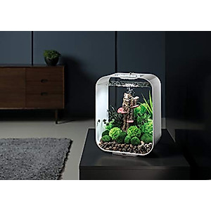biOrb Bonsai Ball Black