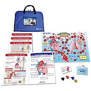 NewPath Learning The Circulatory System Learning Center Game - Grades 6-9