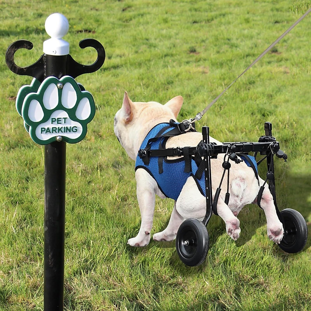 Dog Wheelchair for Back Legs Adjustable Pets Cart with Wheels for Back Legs Dog Leg Brace and Hip Support Mobility Aids for Pets (S)
