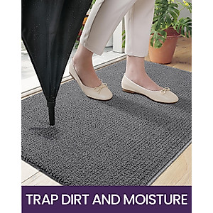 DEXI Door Mat Entryway Doormat Front Entrance Non-Slip Low Profile Washable for Inside Entry 19.5"x31.5",Grey