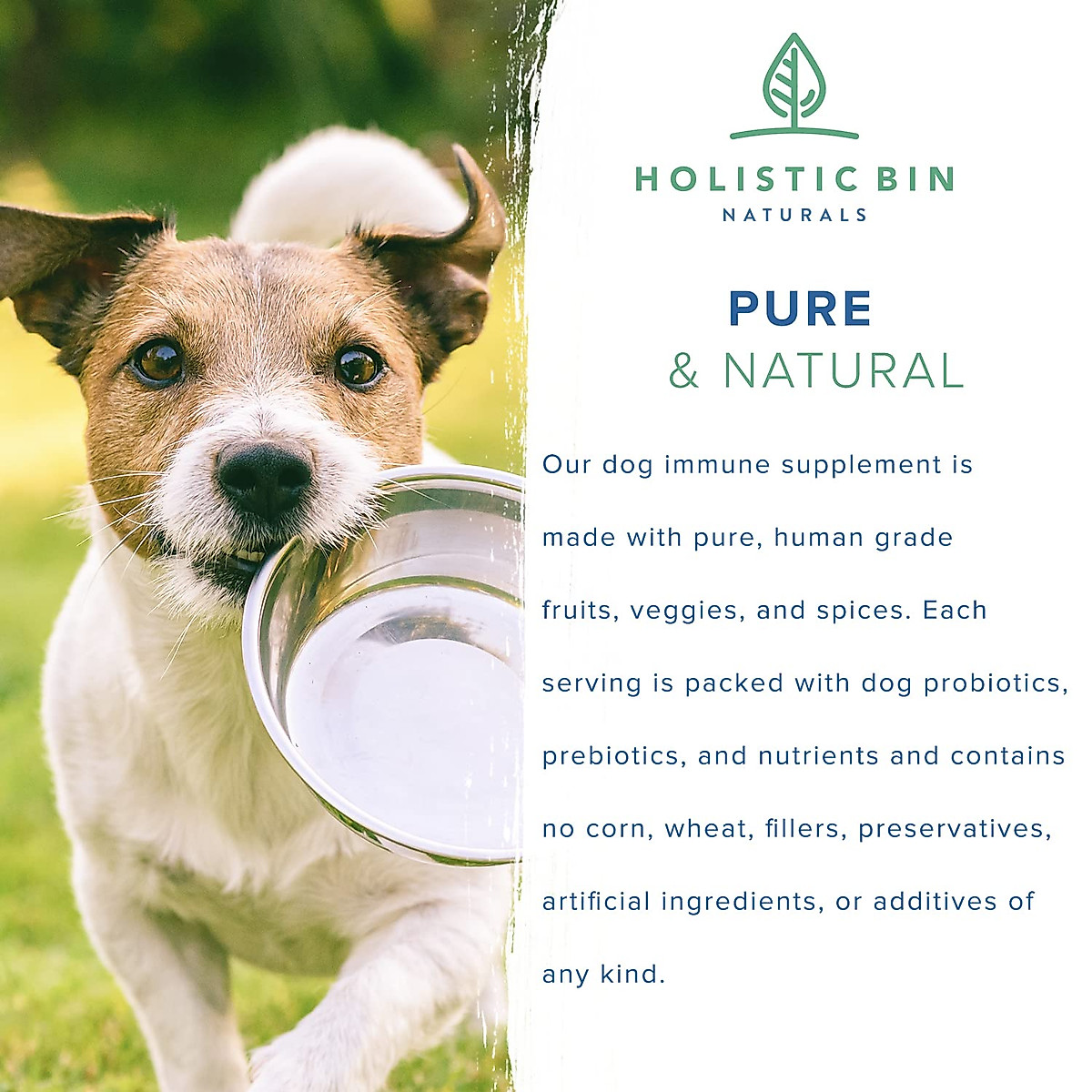 Canine Fermented Farm Superfood Dog Supplement | Vitamin & Mineral Rich Blend Packed with Dog Digestive Enzymes and Probiotics | Fermented Spinach, Pumpkin, Blueberry, Beets, & Turmeric for Dogs