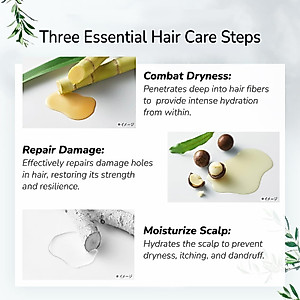 Botanist Moisturizing Hair Conditioner Treatment, Natural & Organic Japanese Haircare for Dry & Frizzy Hair, Botanical Scalp Treatment with Pump, Grapefruit & Sage, Scalp Cleanse, 17.2 Oz / 490g