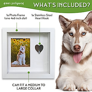 Green Pollywog Pet Memorial Shadowbox with Photo, Tag & Collar Display | White Frame with 4” x 6” Picture Opening | 10” x 10” x 2.5” Keepsake Box