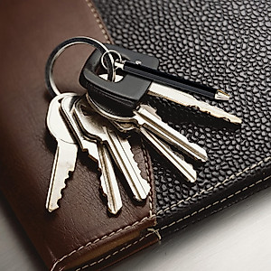 Geilihome 3PCS Portable Titanium Spring Toothpicks Metal Pocket Push-pull Toothpick Key Pendant for Outdoor Picnic Camping