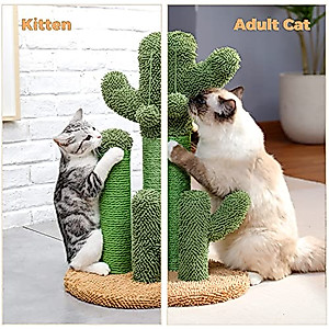 PAWZ Road Cat Scratching Post Cactus Cat Scratcher Featuring with 3 Scratching Poles and Interactive Dangling Ball -Medium 23 Inches