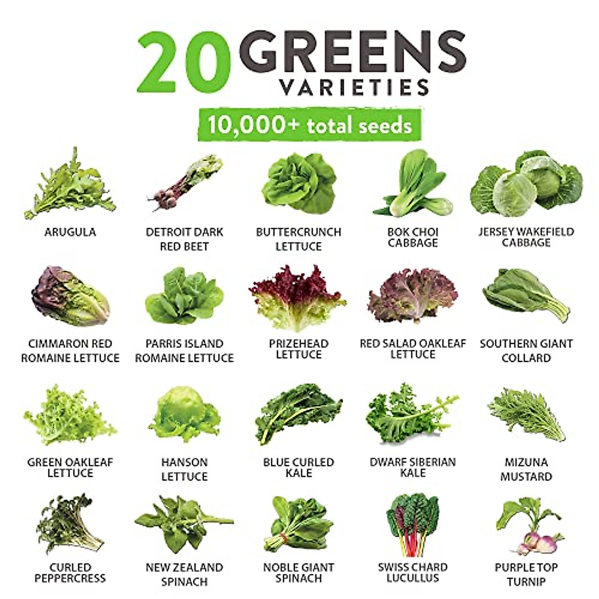 10,000+ Heirloom Lettuce Seeds for Planting Indoors - 95% Germination, Non-GMO Greens Seeds, (20 Varieties): Kale, Spinach, Butter, Oak, Romaine Bibb & More - Lettuce Seeds for Hydroponic Home Garden