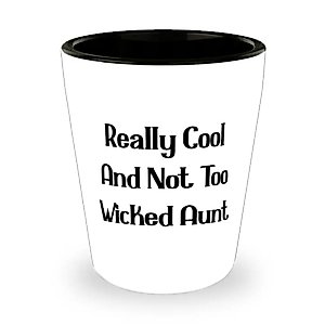 Sarcastic Aunt, Really Cool And Not Too Wicked Aunt, Useful Mother's Day Shot Glass From