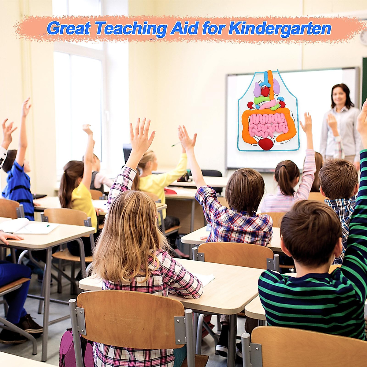 KAKIBLIN 3D Organ Apron,(Upgrade Version) Anatomy Apron Human Body Organs Awareness Educational Toy for Home Preschool Teaching Aid, Transparent