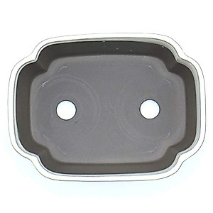 Bonsai Tree Pot Ceramic Mokko (Quince) Cut Off Shaped Glazed (6.4", Cream-Yu)