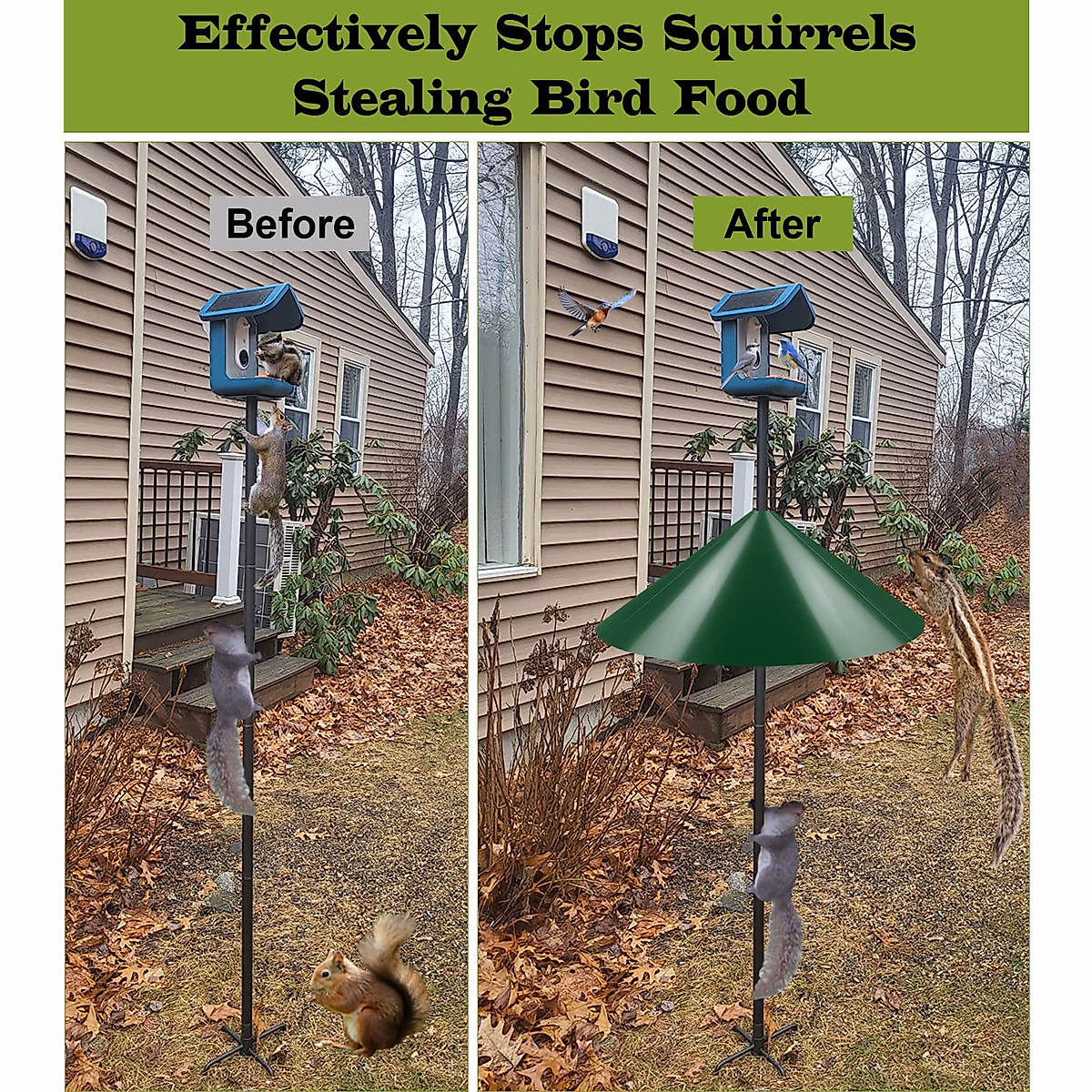 Ansionsol 19 Inch Wide Squirrel Baffle for Bird Feeder Pole, Outside Pole Mount Stopper & Bird House Guard for Outdoor Shepherd’s Hook, Green, 1 Pack
