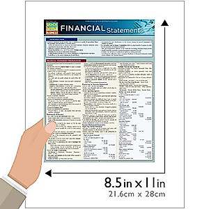 Financial Statements QuickStudy Laminated Reference Guide (QuickStudy Business)