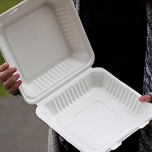 Urth Pak 9 inch” Biodegradable Take-Out Food Containers - Pack of 100 - Compostable TO-GO Boxes with Built-In Hinged Lid - Sustainable Material, To Go Boxes for Food, Clamshell Food containers, 9x9