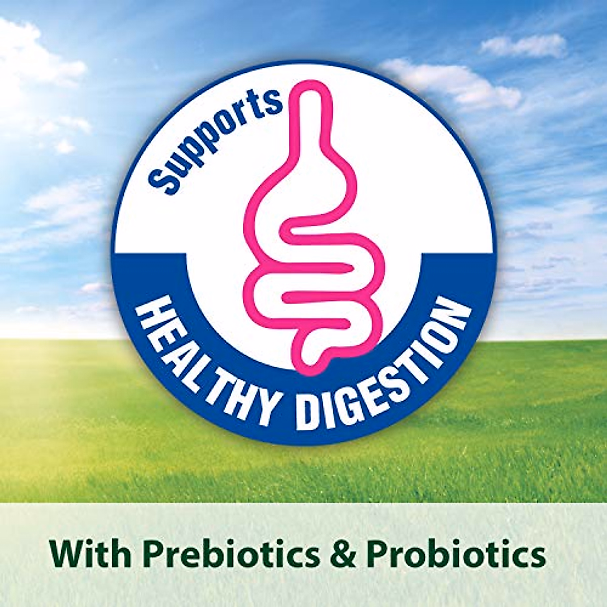 Kaytee Fiesta Pet Mouse and Rat Food, 4.5 Pound