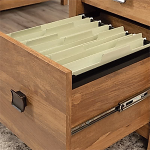 Sauder Cannery Bridge Executive Desk with 6 Storage Drawers, Sindoori Mango Finish