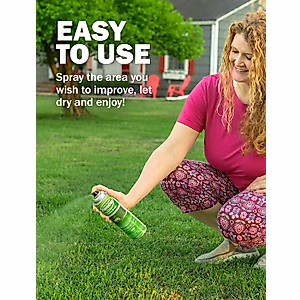 Seymour Grass and Shrub Renew Spray Paint and EnviroColor 4Evergreen Grass & Turf Paint