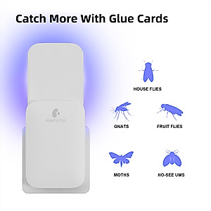 Kiwinurse Indoor Fly Trap Refill Glue Cards for UVLA1001 Indoor Fly Insect Trap - 10Pack, Single Sided Sticky