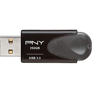 Generic PNY 256GB USB 3.0 Flash Drive Turbo Attaché 4 (Bulk 2 Pack) Works with Computer (P-FD256TBAT4A-GE) Bundle with (1) Everything But Stromboli Lanyard