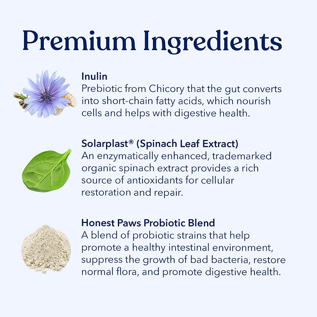 Honest Paws Probiotics for Dogs & Dog Multivitamin - Glucosamine Chondroitin for Joint Health - Allergies, Immunity, Gut Health - Digestive and Skin & Coat Support