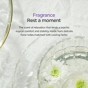 AYUNCHE Derma Calming Shampoo 11.8oz [For Dry & Sensitive Scalp] | Gentle Hydrating Scalp Care | Strengthen Scalp Barrier | Vegan Shampoo | Korean Salon Brand