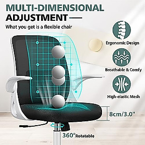 Winrise Office Chair Ergonomic Desk Chairs with Lumbar Support and Flip-up Arms, Comfortable Breathable Mesh Computer Executive Chair with Swivel Task, Adjustable Height 4'', Home, Bedroom - White