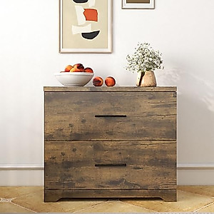 Panana 2-Drawer Wood Lateral File Cabinet, Filing Cabinets Anti-Tilt Mechanism for Home Office Storage Organization, Accommodates Letter/A4/Legal Size, New Heightened Drawer Design Home Office (Wood)